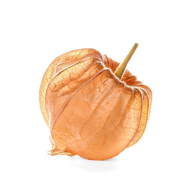 Physalis, fresh fruits stock image. Image of groundcherry - 37899513