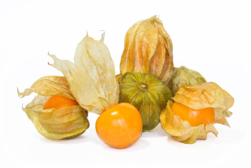Physalis fruit. stock image. Image of fresh, closeup - 37021231