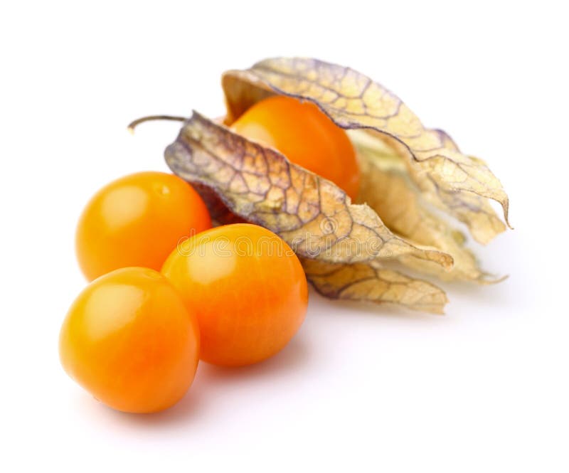Physalis Fruit Vertical stock image. Image of gourmet - 17615369