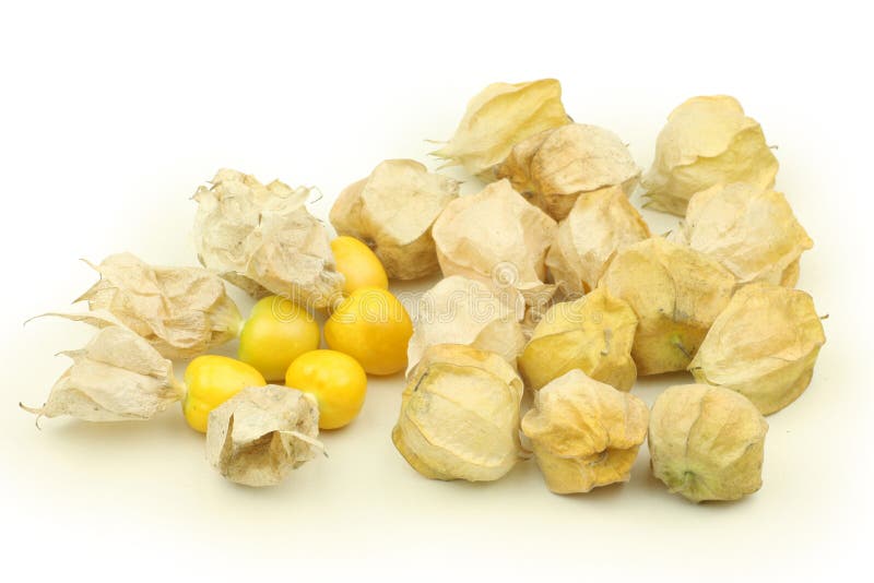 Physalis Picture. Image: 17430439