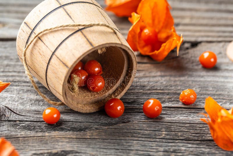 Physalis Peruviana Fruit. Physalis Physalis, Golden, Gooseberry Stock ...