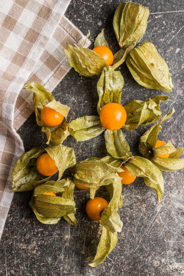 Physalis peruviana fruit. stock photo. Image of fruit - 130379526