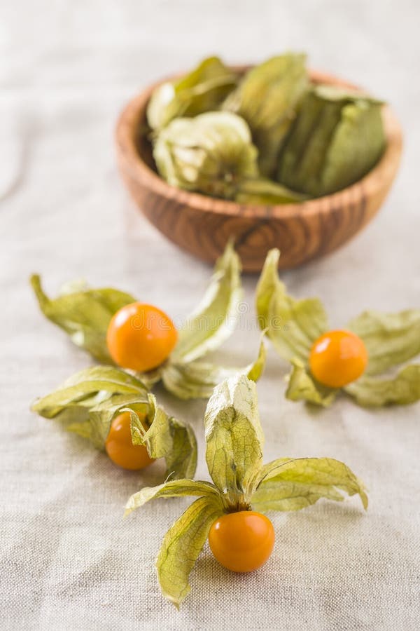 Physalis peruviana fruit. stock image. Image of ripe - 130380559