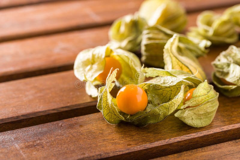 23,893 Physalis Stock Photos - Free & Royalty-Free Stock Photos from ...