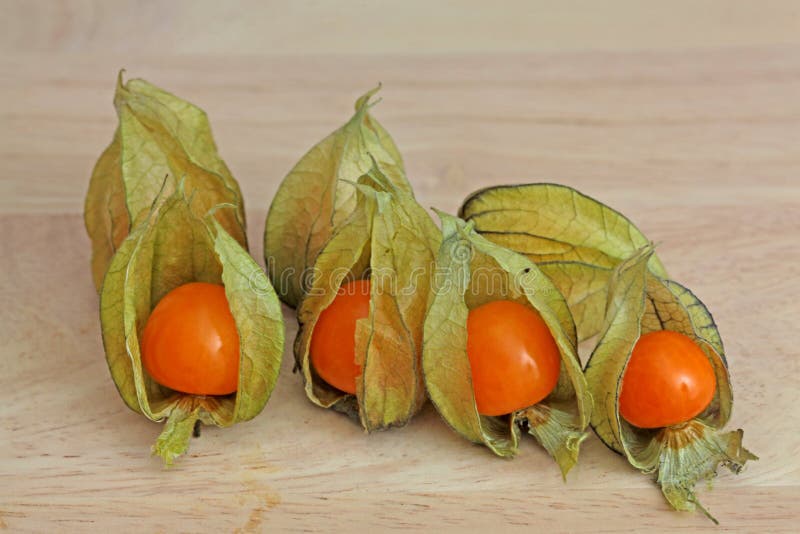The Berry of the Physalis in the Red Shell on the Branch - Physalis ...