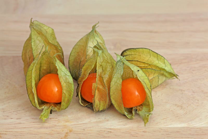 Physalis peruviana stock photo. Image of health, fresh - 53621852
