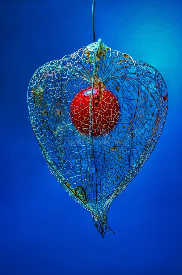 A Small Power Pole in a Rural Area Stock Photo - Image of design, line ...