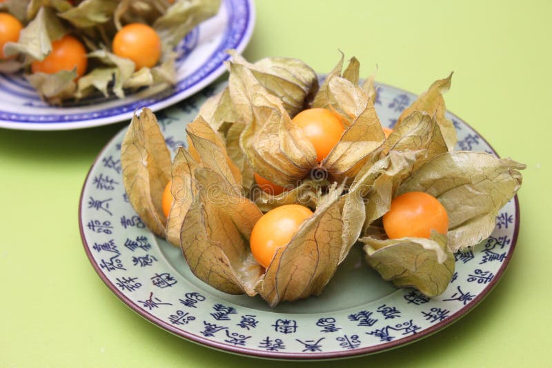 Physalis stock photo. Image of snack, healthy, food, fruits - 43640916