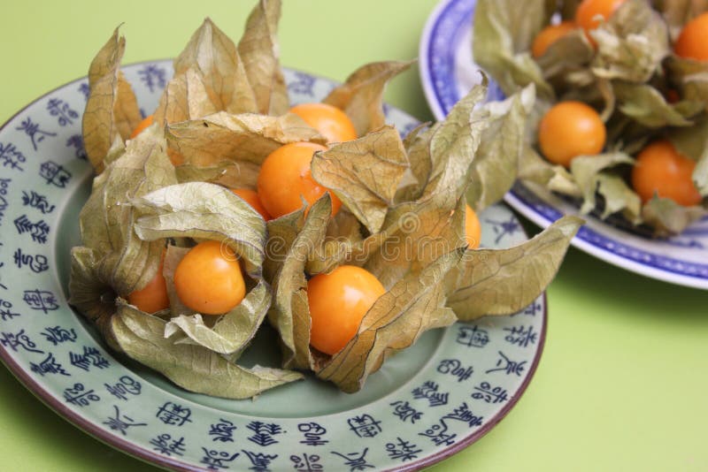 Physalis stock image. Image of snack, freshness, desserts - 43641163