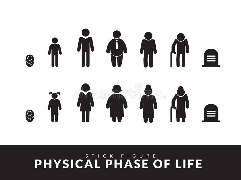 The Physical Phase of Life. Isolated Vector Illustration Stock ...