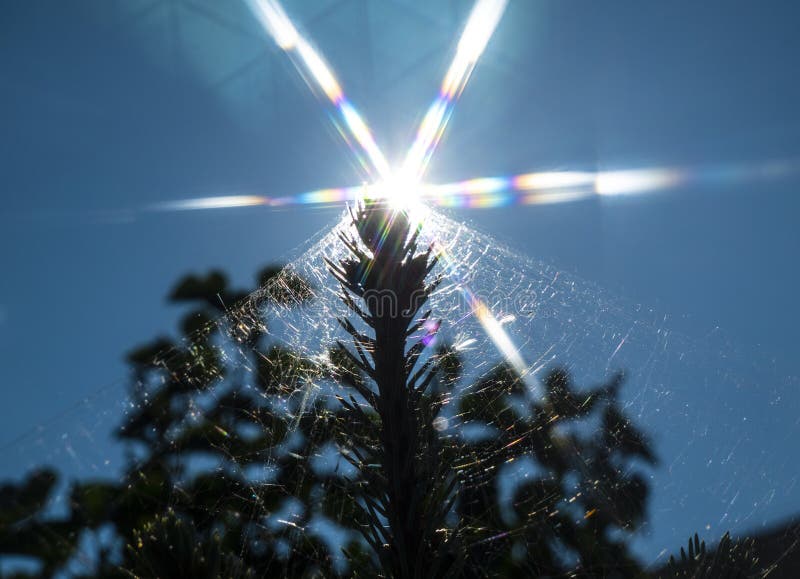 Physical Phenomena Created by the Sun and the Web Stock Photo - Image ...