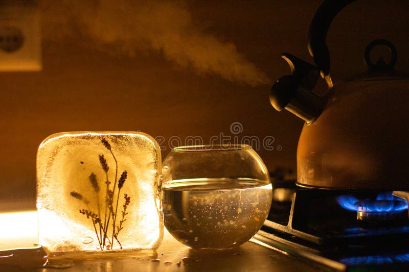 Study of Physical Properties of Water at Home by a Schoolchild Stock ...