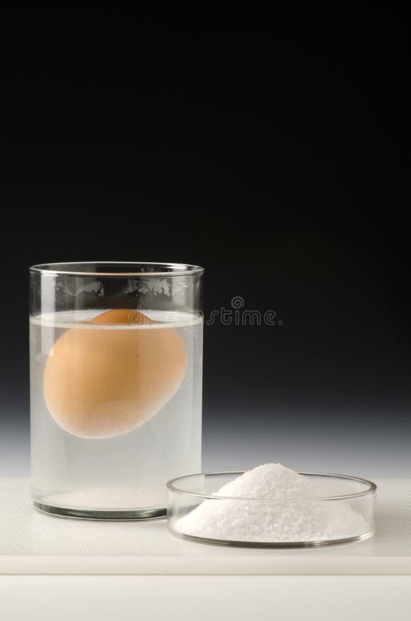 Physics. Egg Floating in Salt Water Stock Image - Image of density ...