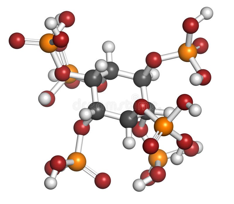 Phytic Acid Hexakisphosphate, IP6, Phytate Molecule. Present in Seeds ...