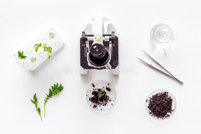 Phytopathological Examining Soil and Plants with Microscope in Lab ...