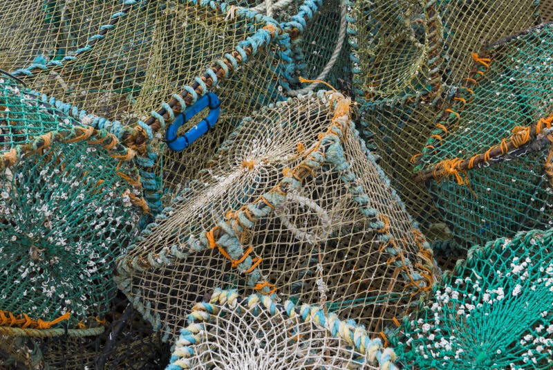 Pièges De Crabe Et De Homard Photo stock - Image du crabe, décoration ...