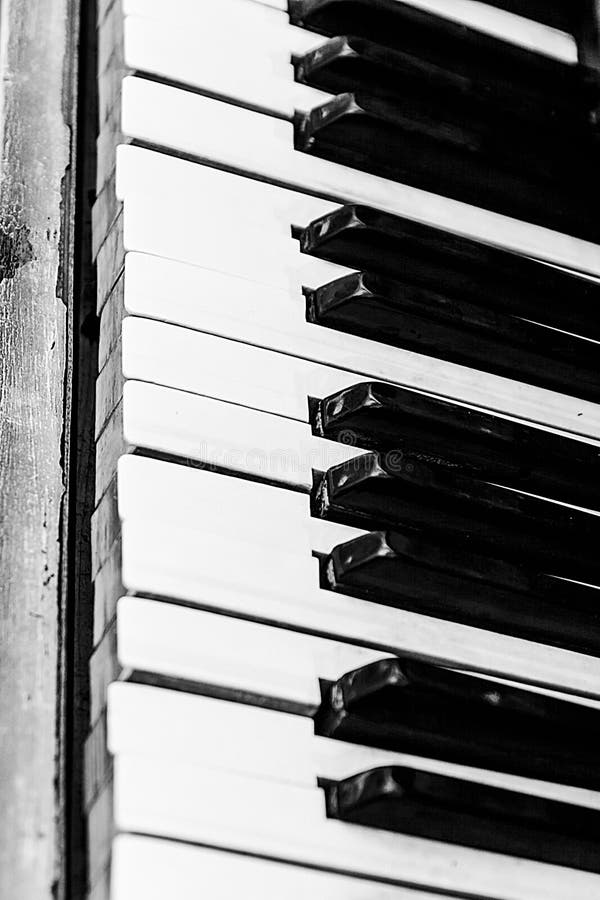 Piano buttons stock photo. Image of concert, instrument - 1575340