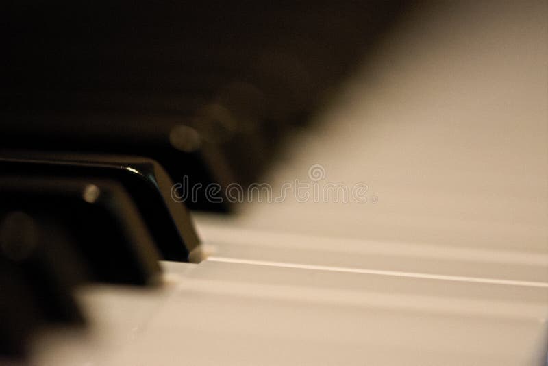 Piano buttons side by side stock photo. Image of bass - 145511070