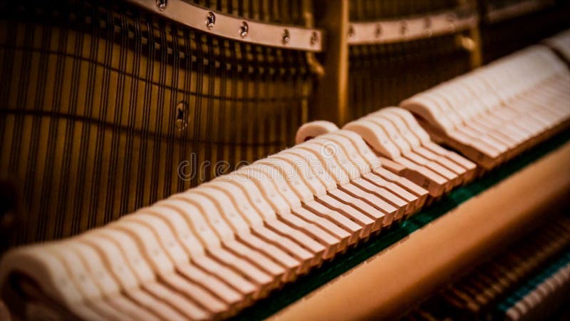 Piano Hammers stock image. Image of lined, hammers, felt - 99476117