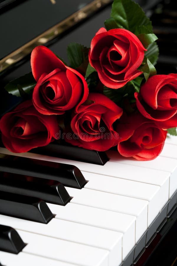 Piano Key and rose stock image. Image of white, flower - 129313921