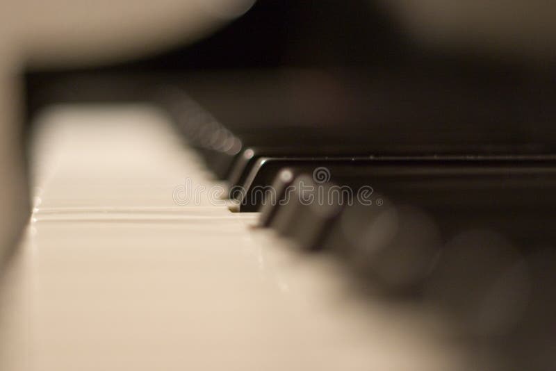 Piano Keyboard stock photo. Image of close, eighty, closeup - 163494