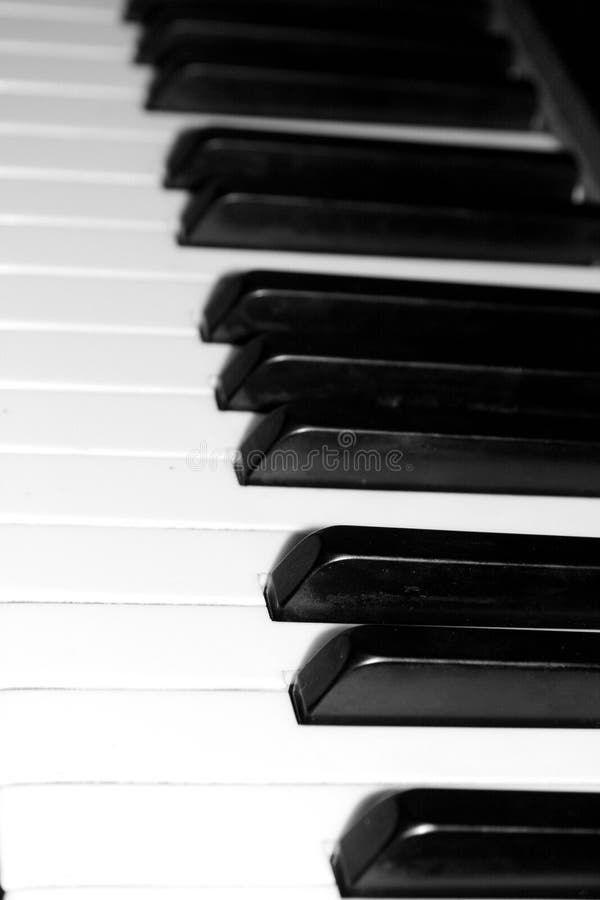 Piano keys stock image. Image of white, classic, classical - 11439355