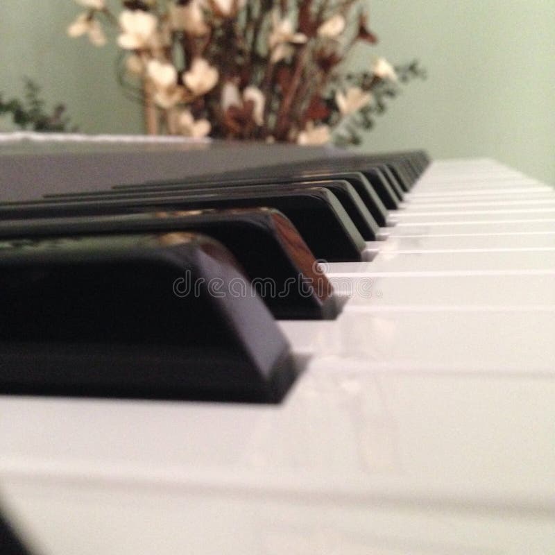 Piano keys stock image. Image of white, keys, music, piano - 44115149