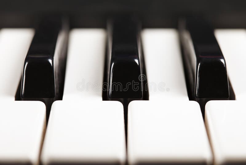 Piano keys front view stock photo. Image of white, musical - 18561656