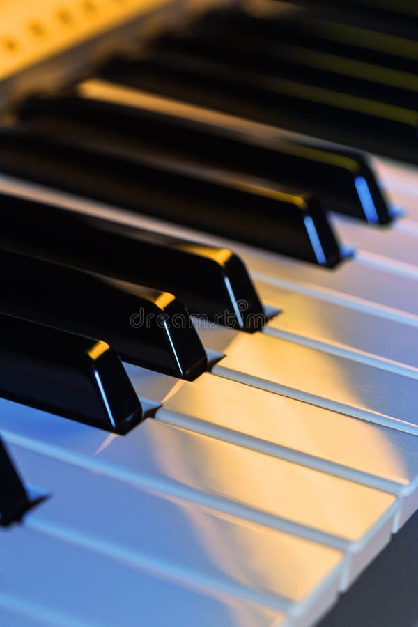 Piano keys stock photo. Image of point, arrangement, entertainment ...