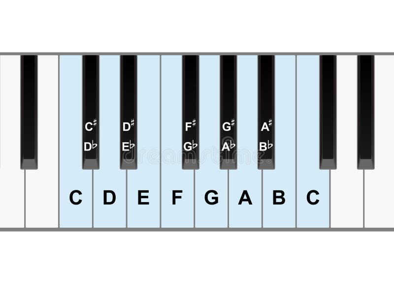 Major Scale Full Notes Stock Illustrations – 7 Major Scale Full Notes ...