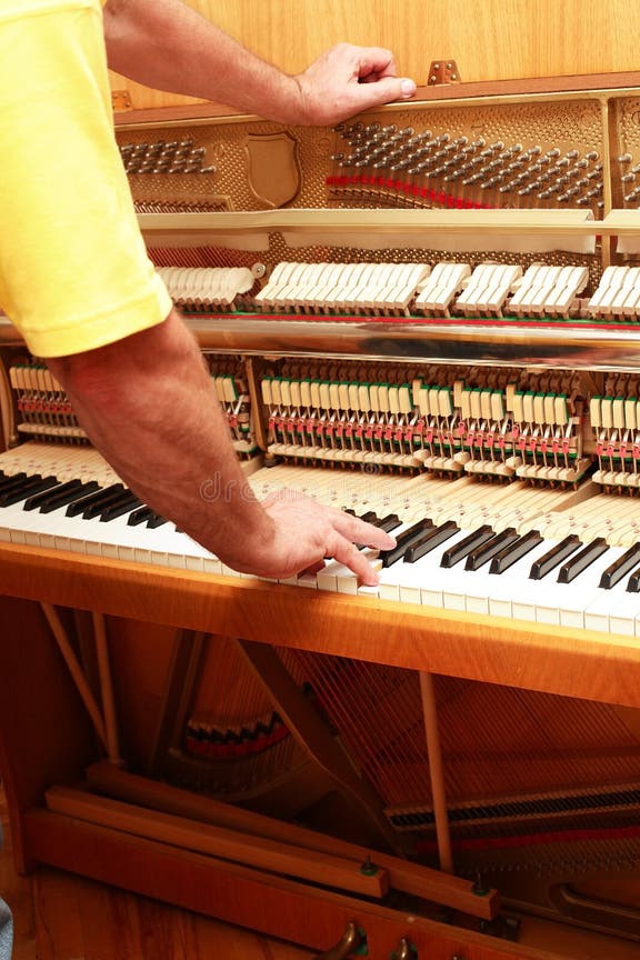 Piano tuner stock photo. Image of open, educate, tuner - 4088448