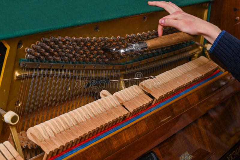 The Piano Tuner S Hand and Instrument. Tuning Process. Stock Photo ...