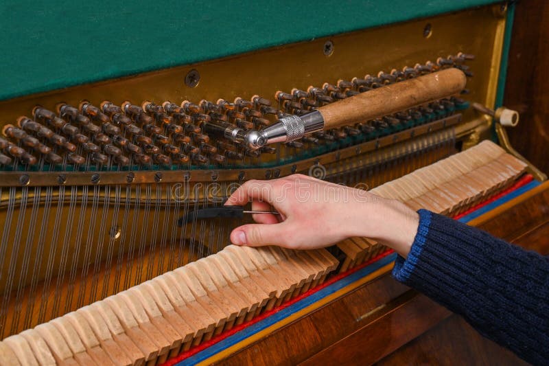 The Piano Tuner& X27;s Hand and Instrument. Close-up Stock Image ...