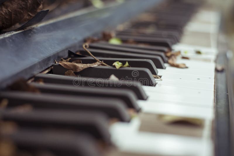 976 Piano Roto Viejo Fotos de stock - Fotos libres de regalías de ...