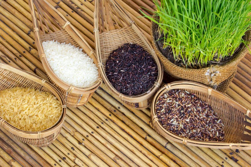 Pianta di riso fotografia stock. Immagine di campi, commercio - 71713048