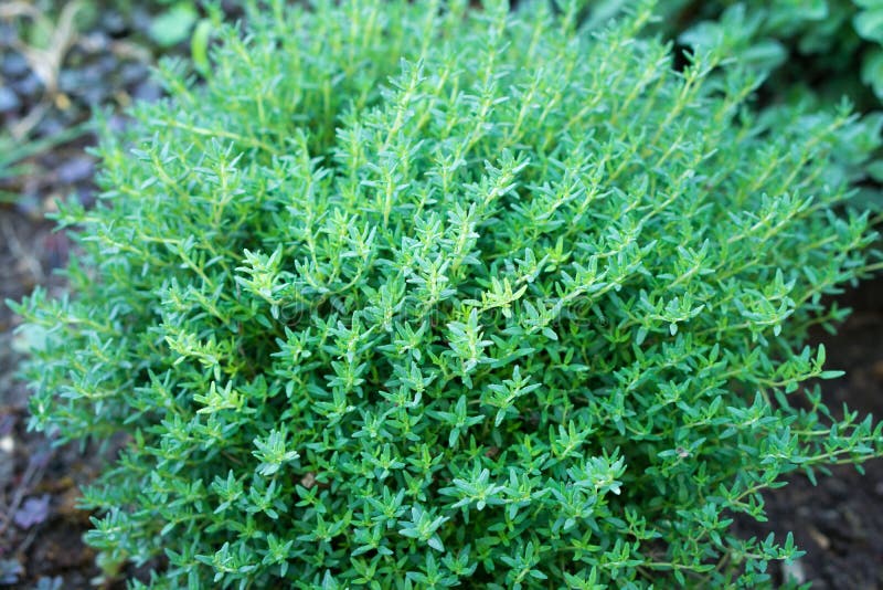 Agnese Benassi (Gnx107) - Photographer profile