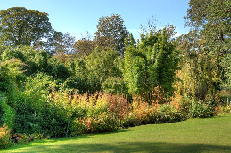 Piante E Cespugli Di Giardino Fotografia Stock - Immagine di botanico ...