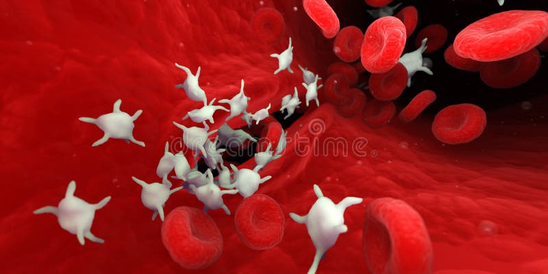 Le piastrine illustrazione di stock. Illustrazione di arteria - 146955755