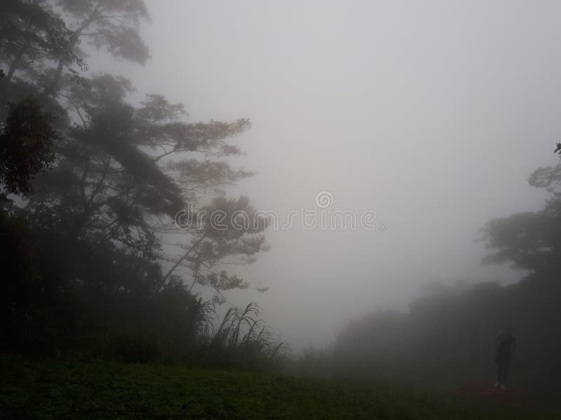 Agou Stock Photos - Free & Royalty-Free Stock Photos from Dreamstime