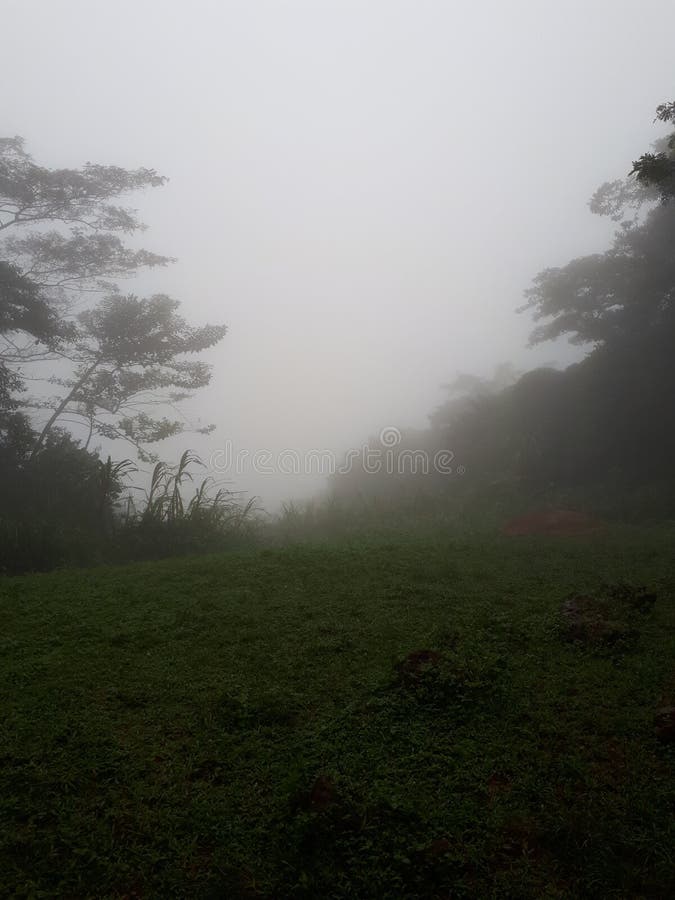 Pic du Mont Agou stock image. Image of africa, mont - 131290633