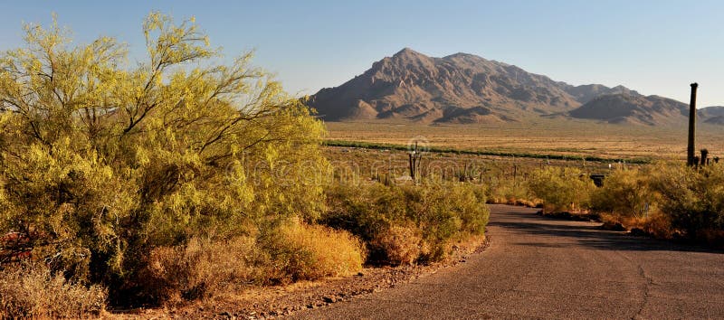 At the Picacho Peak stock photo. Image of america, mountain - 14703214