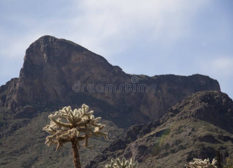 Picacho Peak stock photo. Image of cholla, arizona, cactus - 23535286
