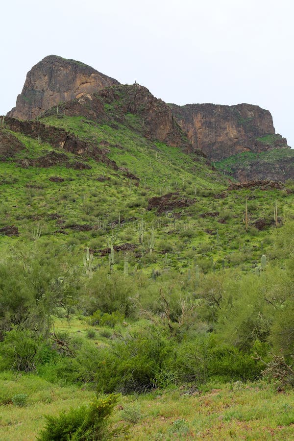 Picacho peak stock photo. Image of fascinating, recreation - 50576382