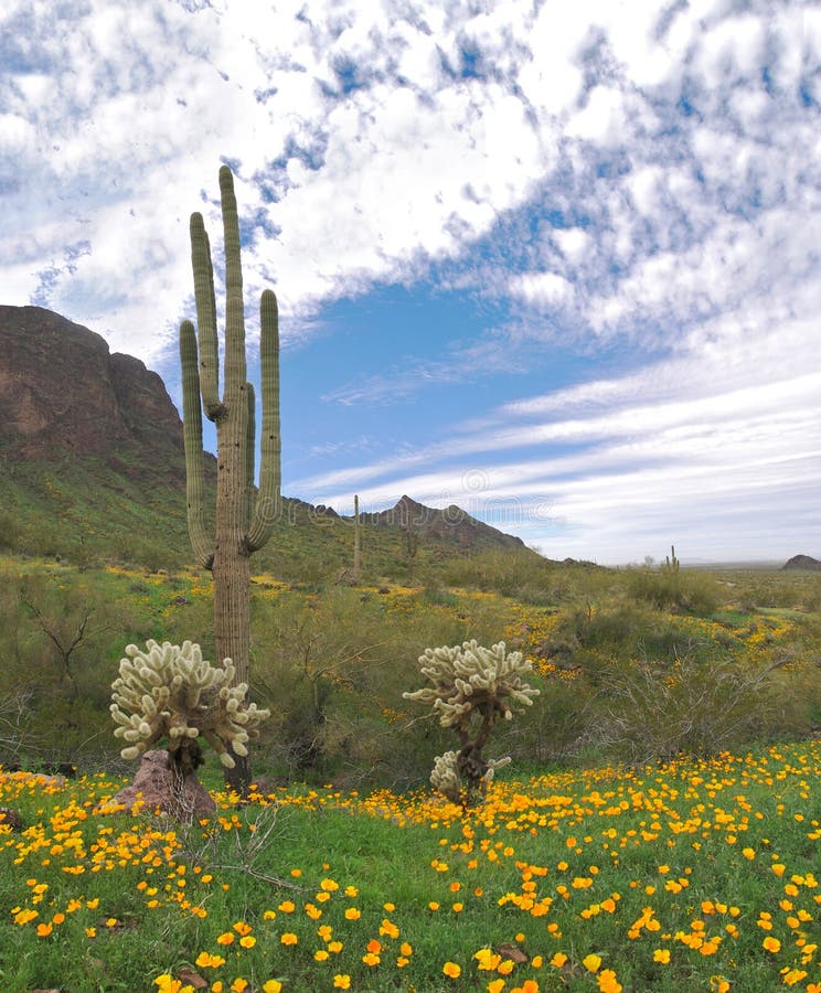 Picacho Peak State Park, State Park in the Pinal County, Arizona ...