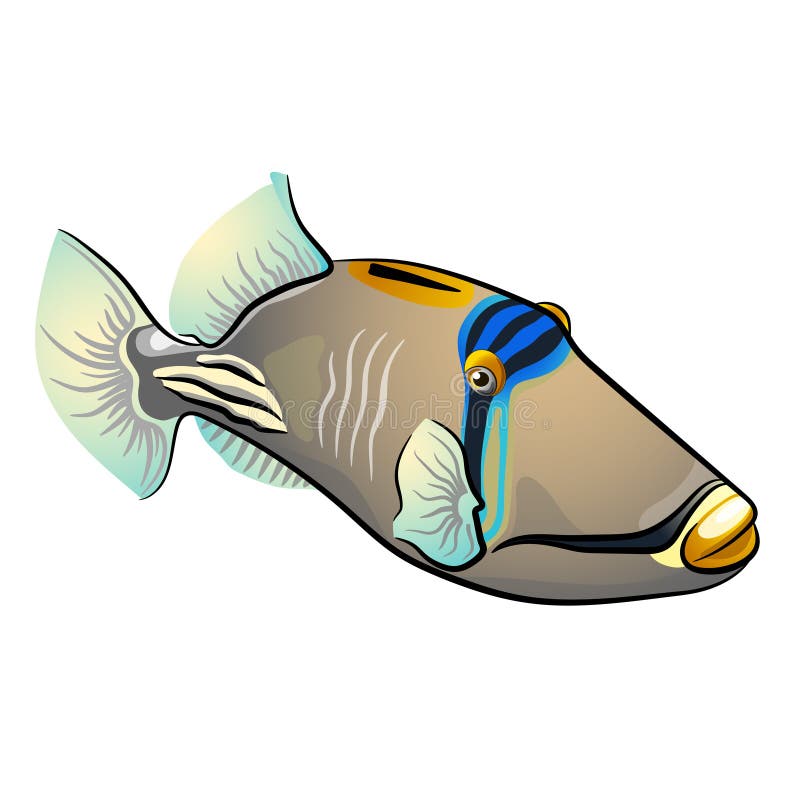 Triggerfish Fish Clown, Flat Cartoon Realistic Drawing, Hand Drawn Sea ...