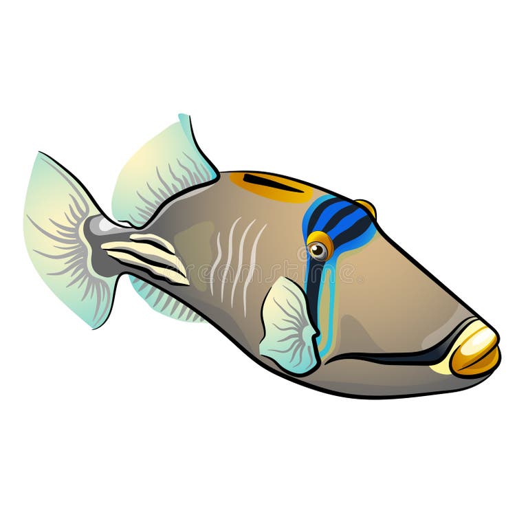 Picasso Triggerfish Stock Illustrations – 40 Picasso Triggerfish Stock ...