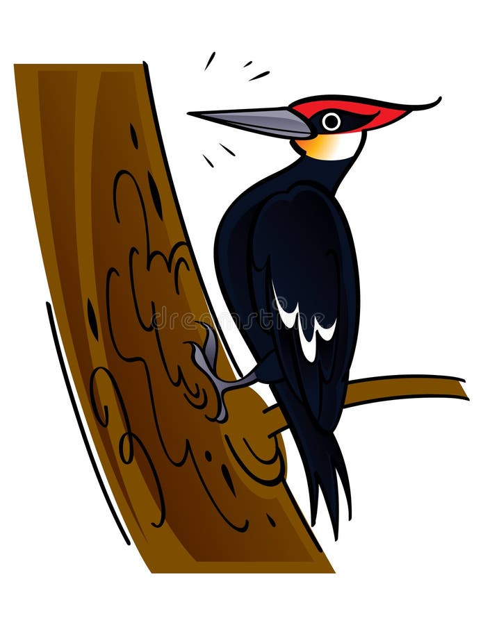 Picchio illustrazione vettoriale. Illustrazione di accampamento - 2633689