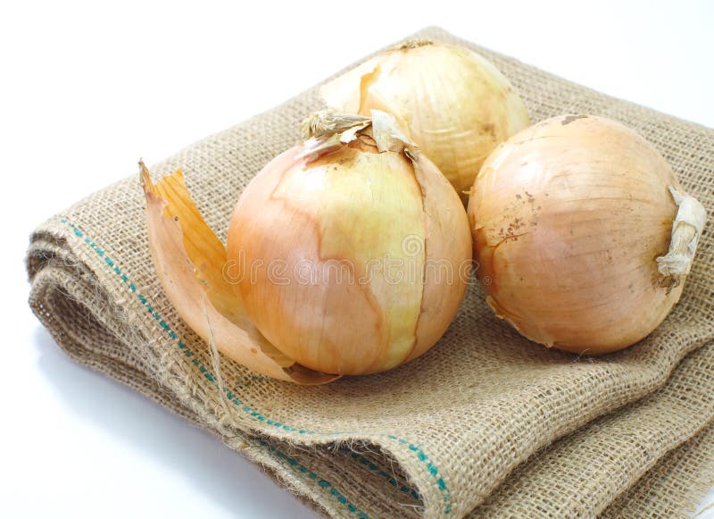 Cipolla dell'oro fotografia stock. Immagine di bianco - 52601258