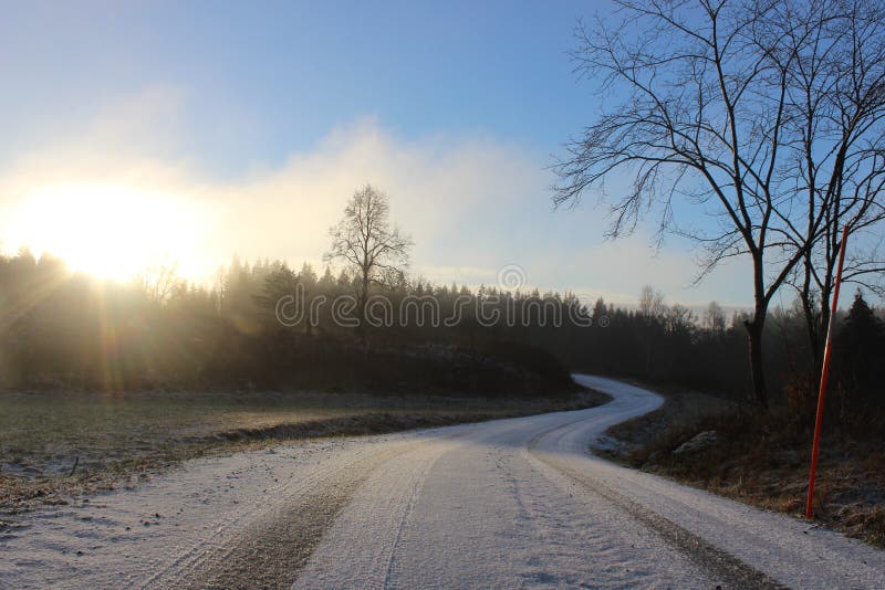 Piccola Strada Nella Campagna Svedese Fotografia Stock - Immagine di ...