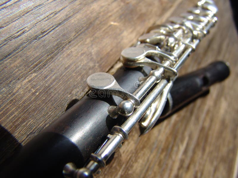 Piccolo Picture. Image: 1722868